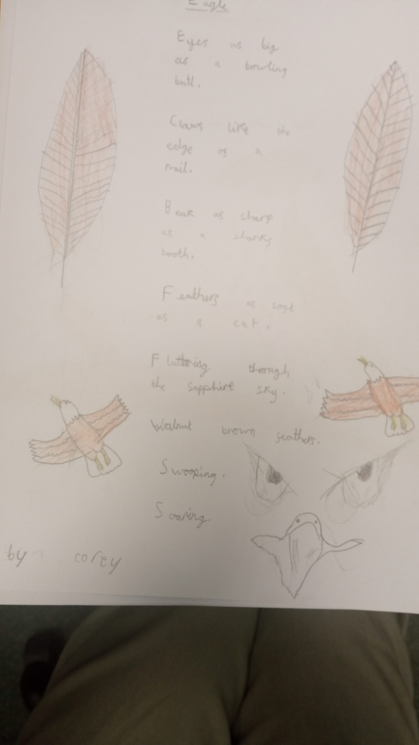 National Environment Day Poems – Nether Kellet Primary School