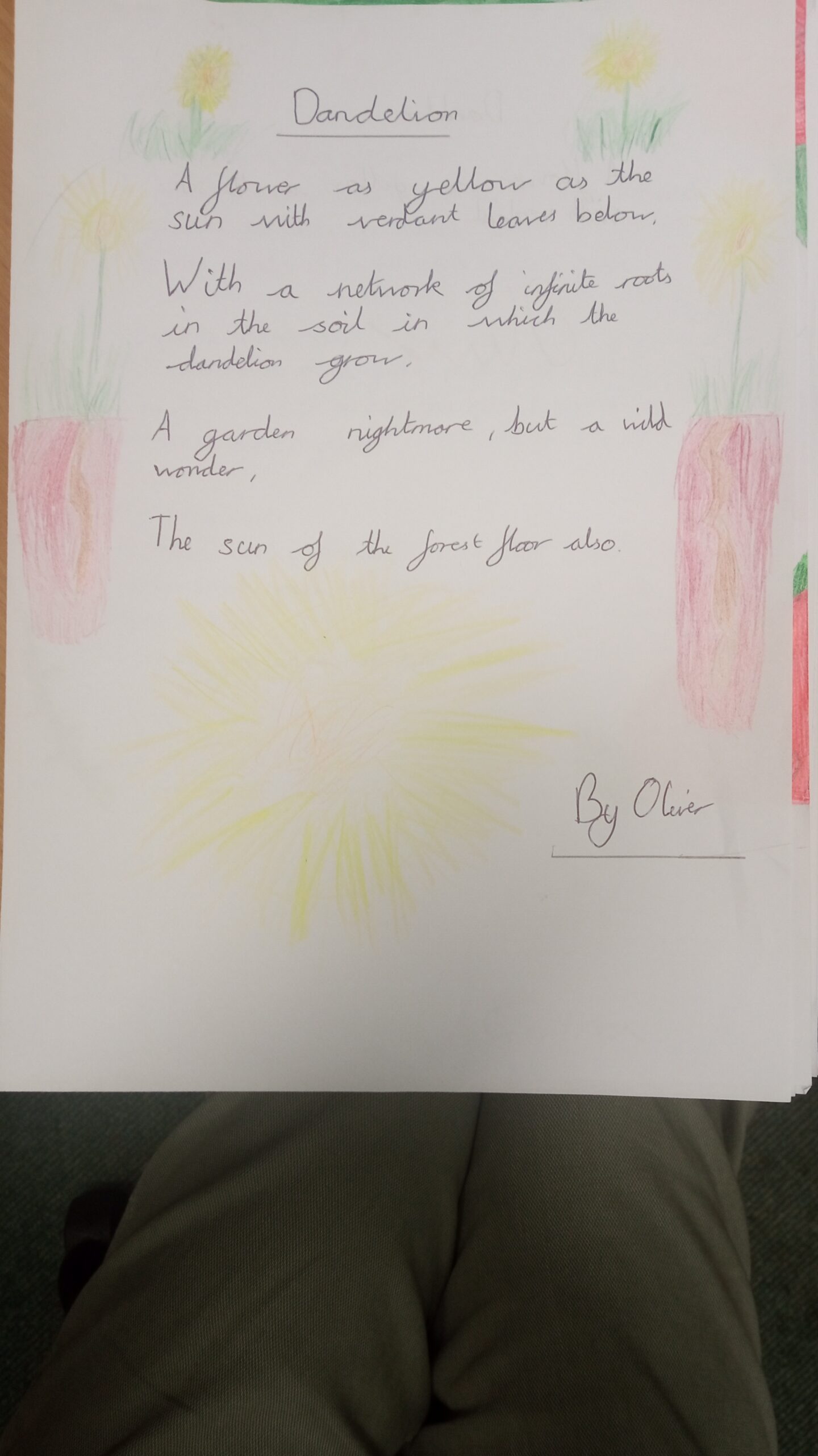 National Environment Day Poems – Nether Kellet Primary School