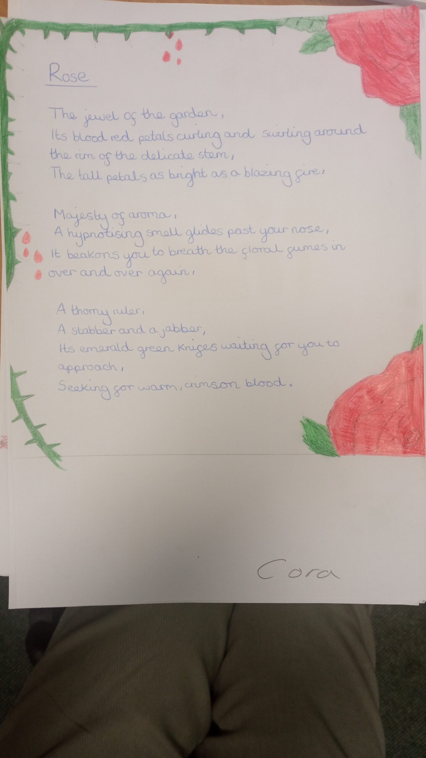 National Environment Day Poems – Nether Kellet Primary School