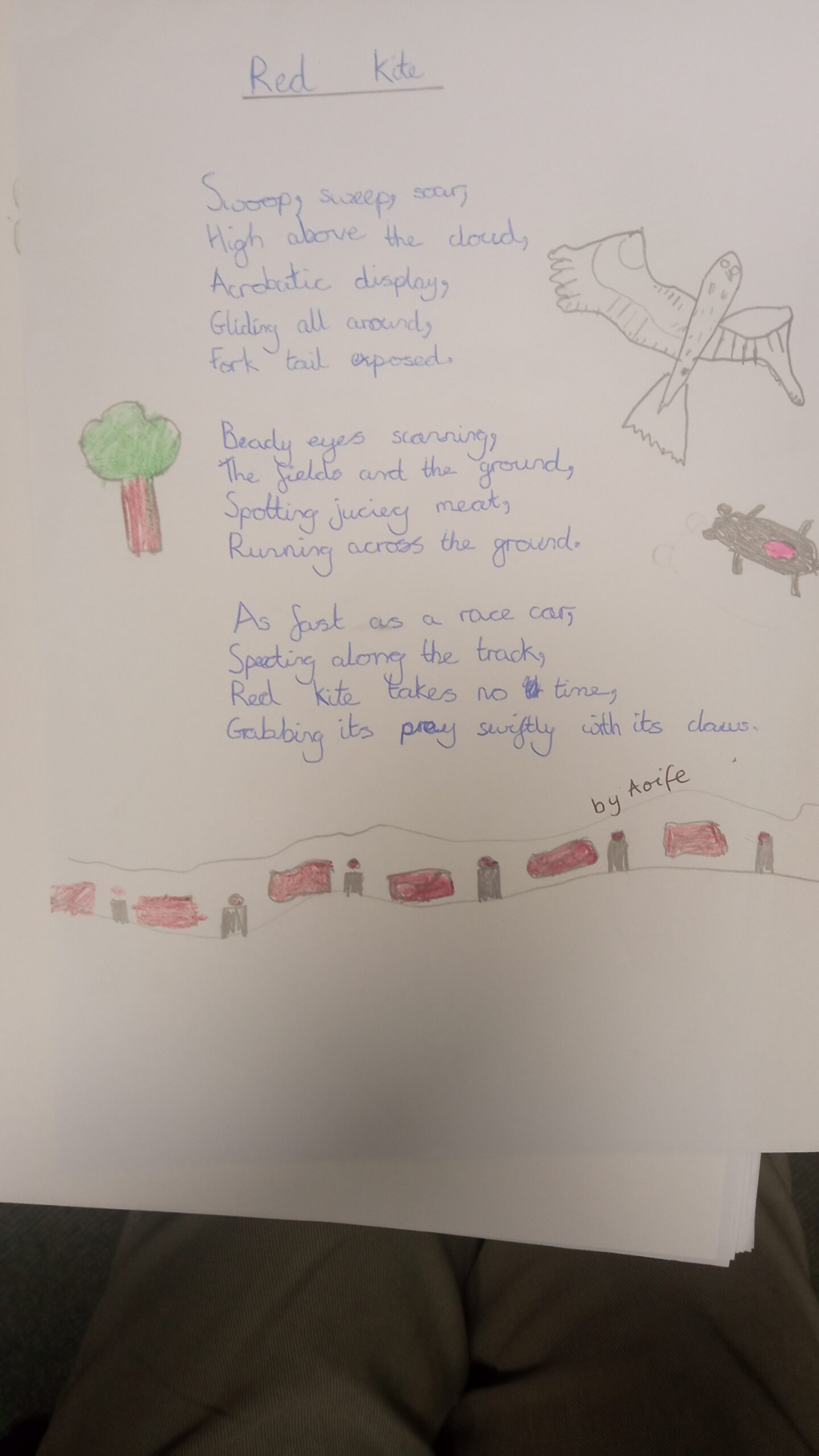 National Environment Day Poems – Nether Kellet Primary School